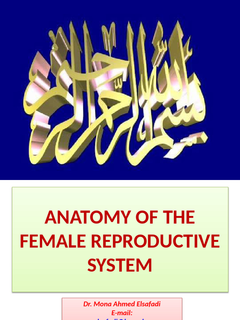 Anatomy of Reproduction | PDF | Uterus | Science & Mathematics