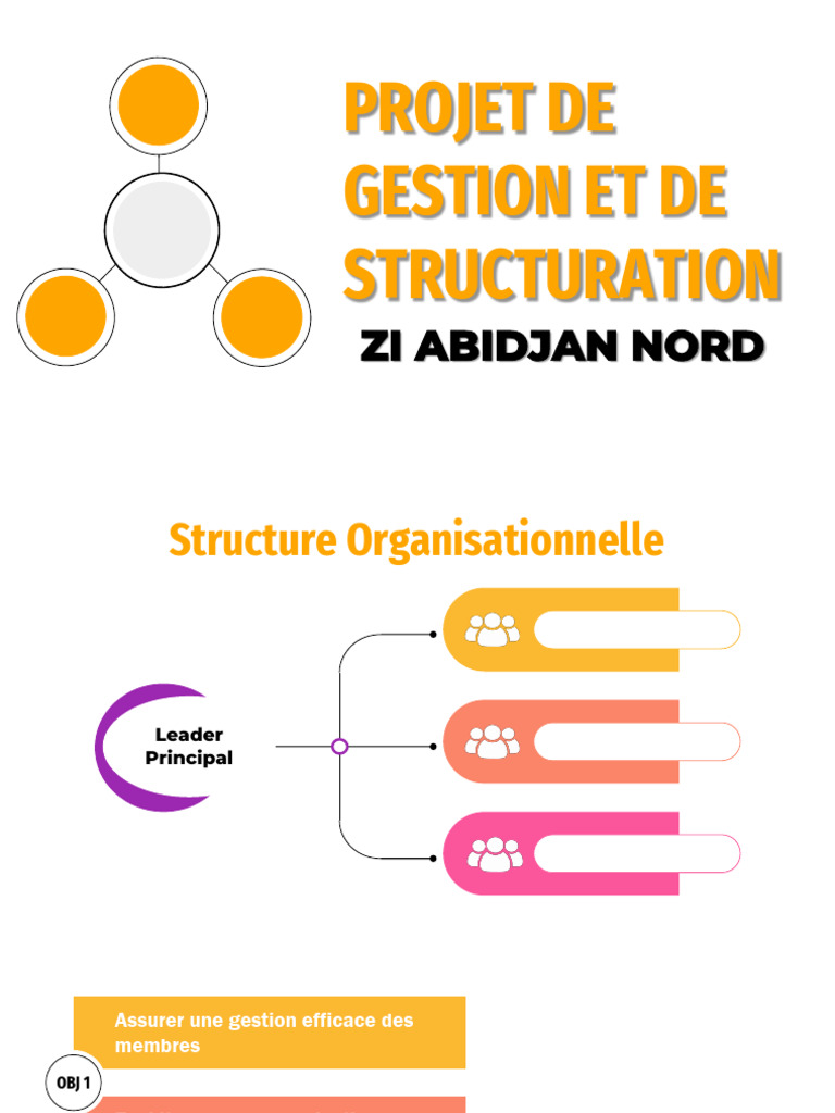 Projet de Gestion Et de Structuration 3 | PDF