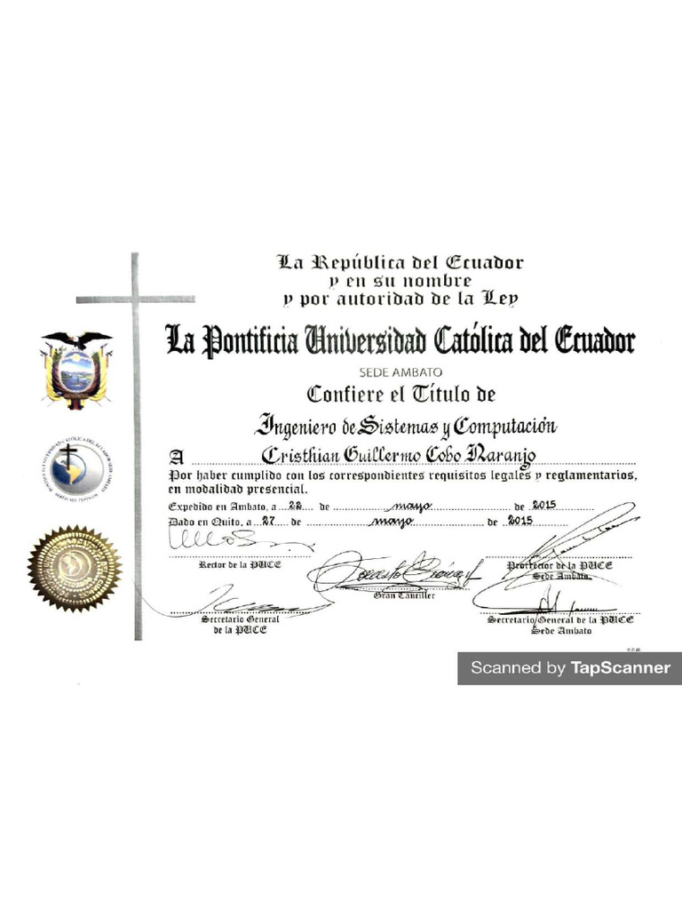 Titulo Ingenieria | PDF