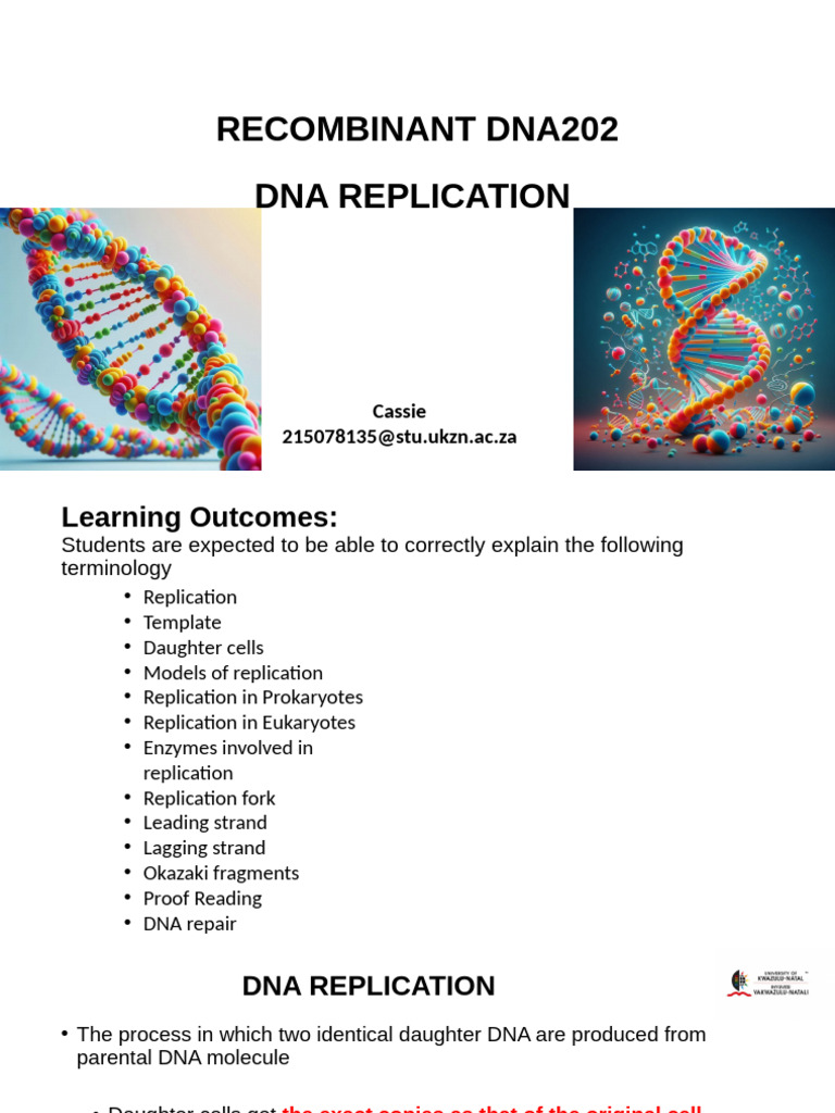 DNA Replication | PDF