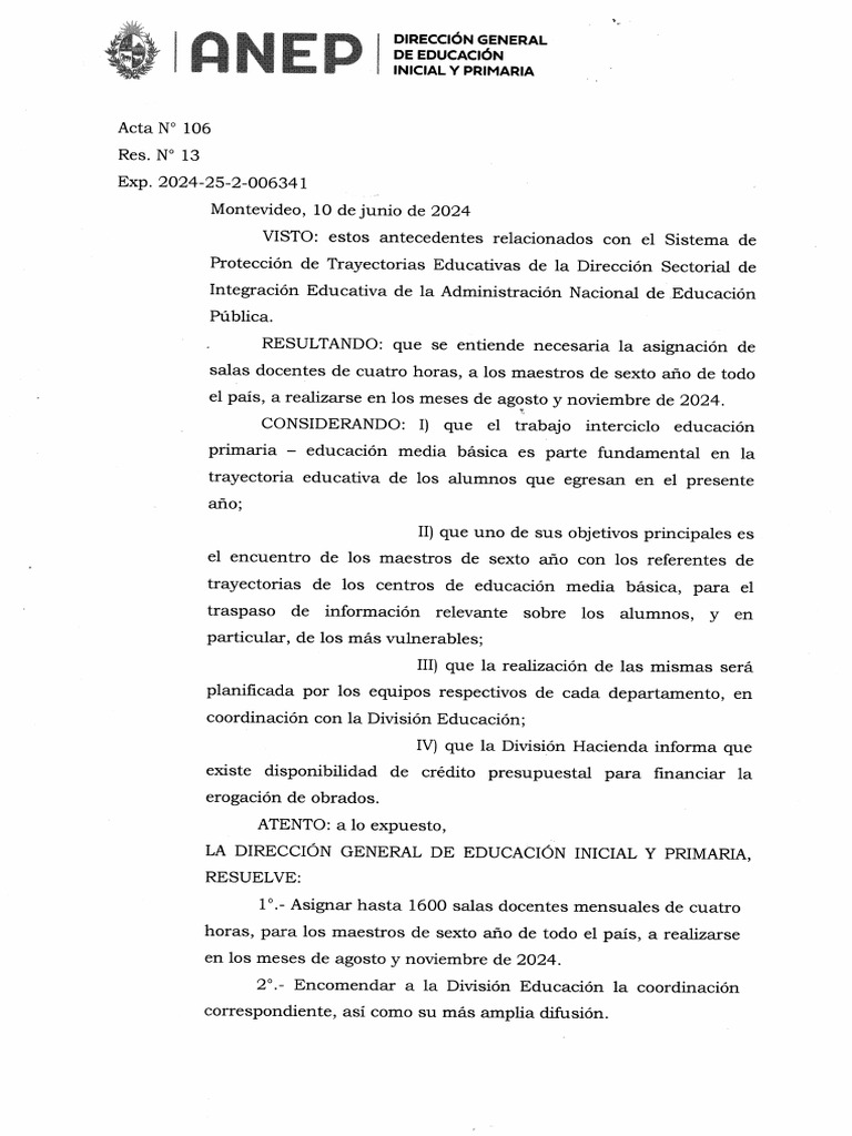 Resolución Nro 13 Acta Nro 106 Fecha 10 06 2024 | PDF