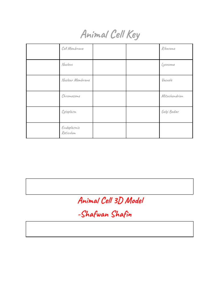 Animal Cell Key | PDF