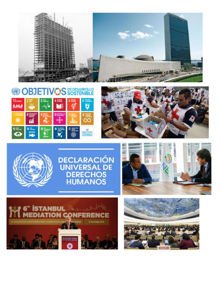 Onu | PDF