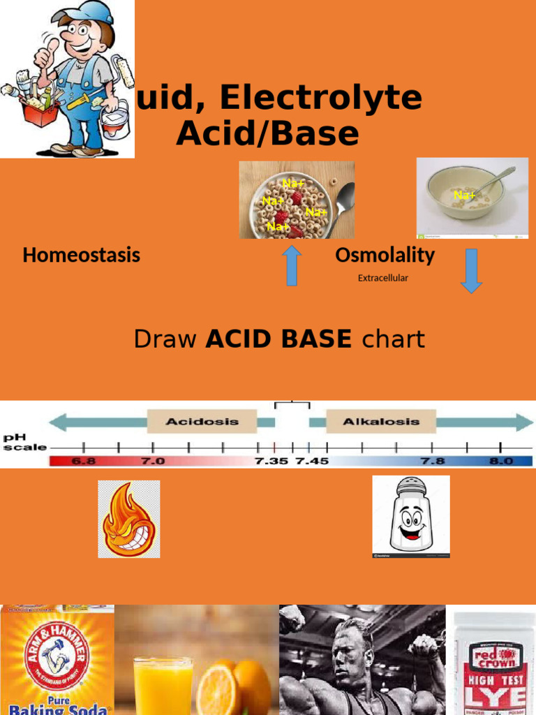 Fluid Electrolyte Acid Base Balance | PDF