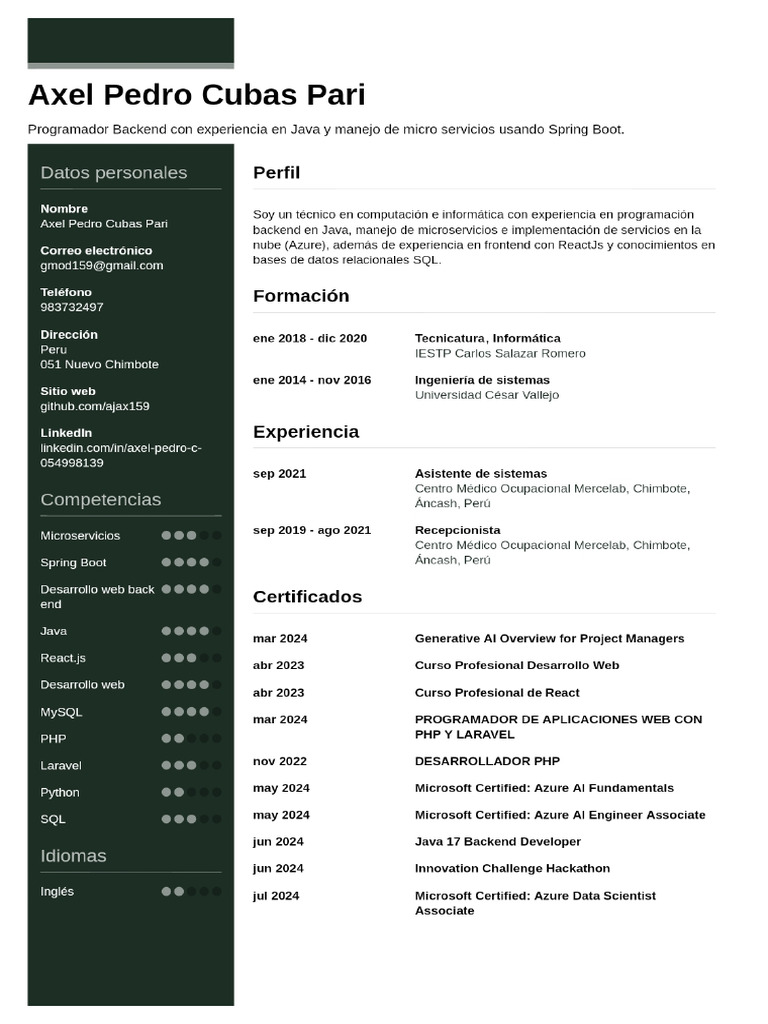CV Axel Cubas Pari | PDF