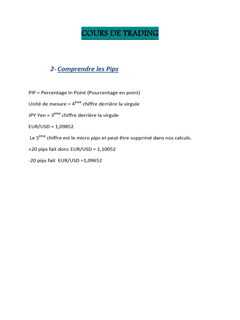Comprendre Les Pips | PDF