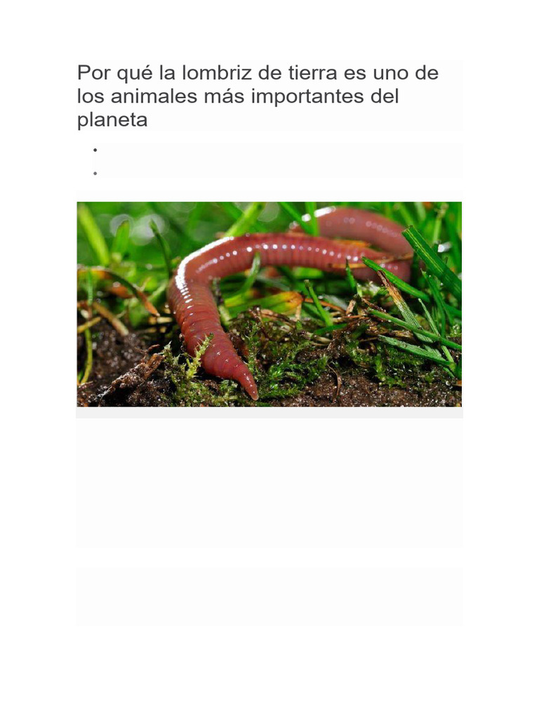 La Lombriz | PDF