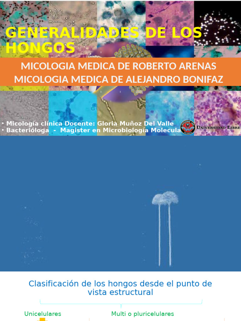 Generalidades de Los Hongos | PDF