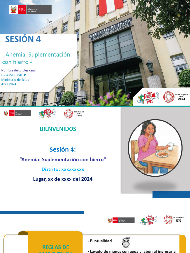Sesion 4. - Anemia Suplementación Con Hierro | PDF