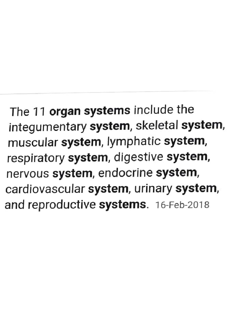 Human Organs | PDF