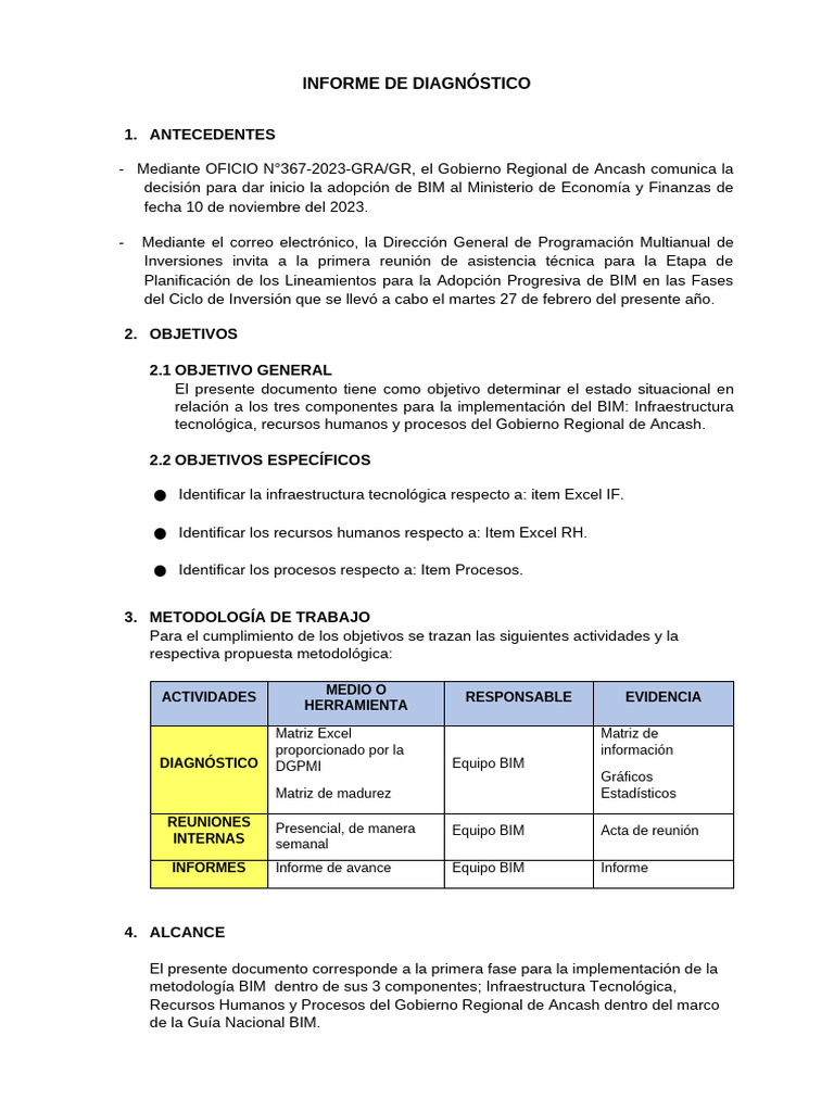 Informe de Diagnostico v01-220524 | PDF