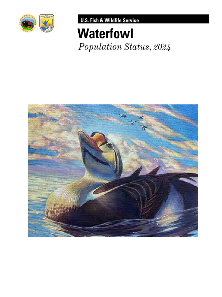 Waterfowl Population Status Report 2024 | PDF | United States Fish And ...