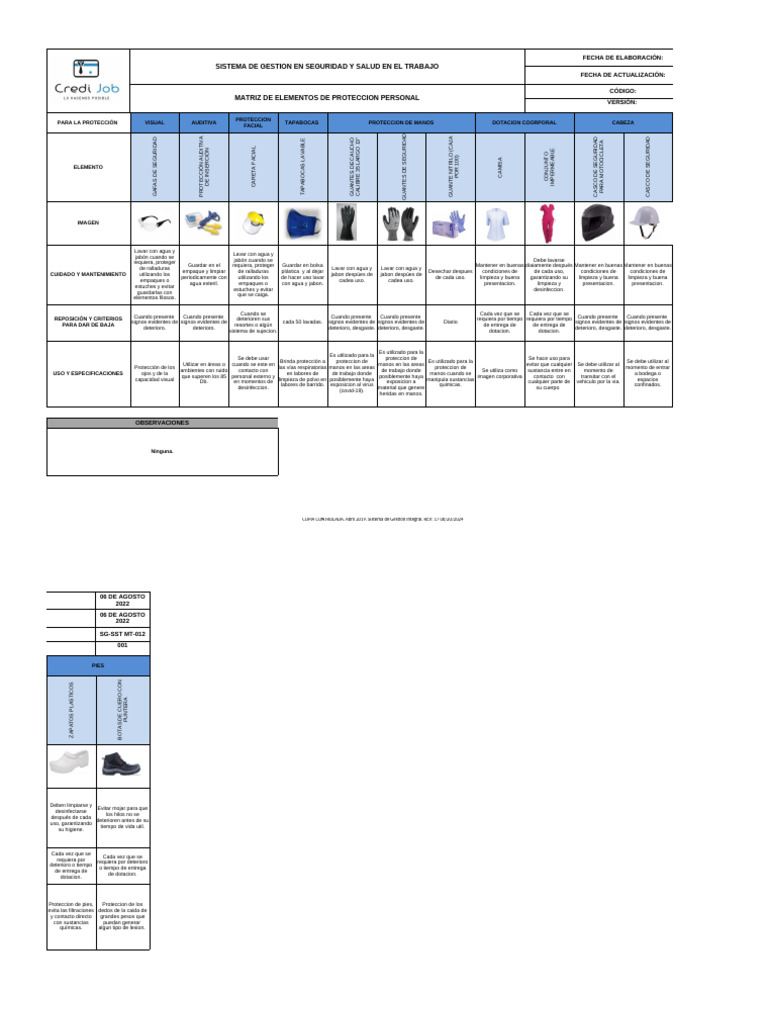 Matriz de Elementos de Epp | PDF