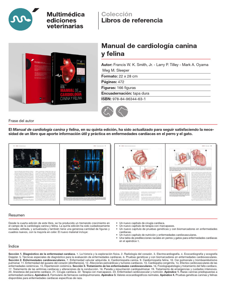 Ficha MCCF | PDF