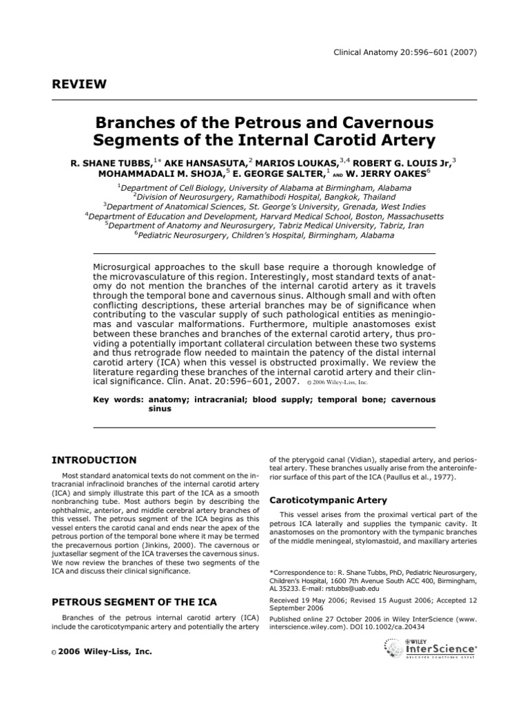 Cavernous ICA | PDF