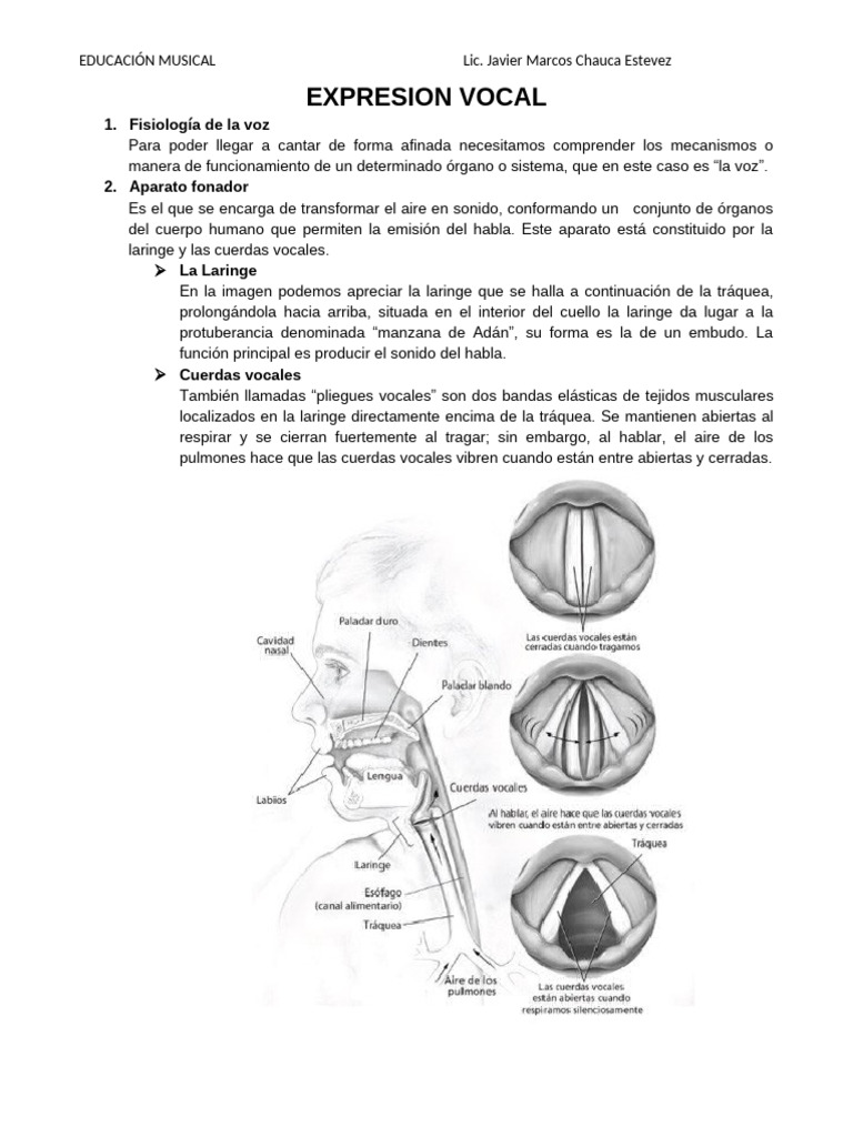Expresion Vocal | PDF