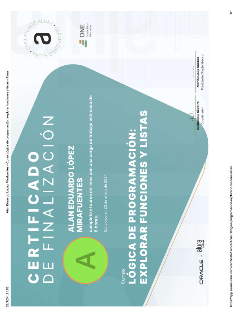 Logica de Programacion Funciones y Listas | PDF