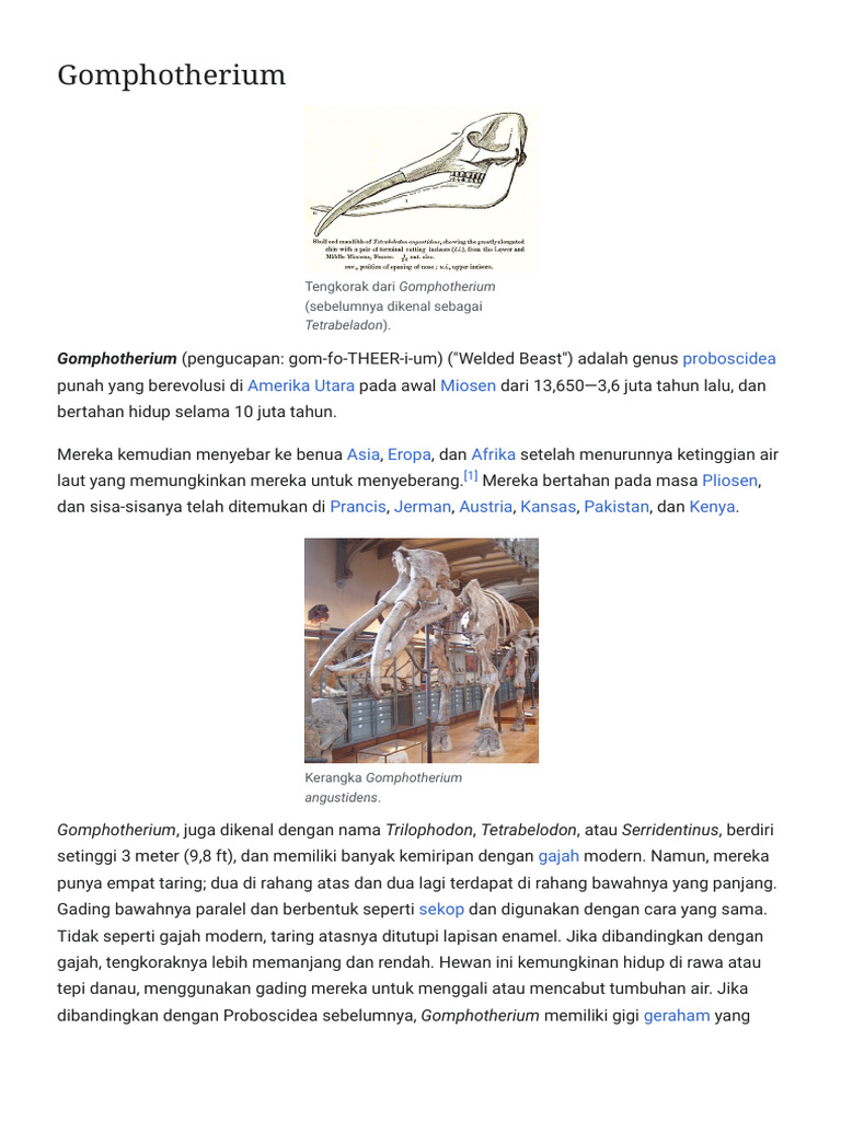 Gomphotherium - Wikipedia Bahasa Indonesia, Ensiklopedia Bebas | PDF