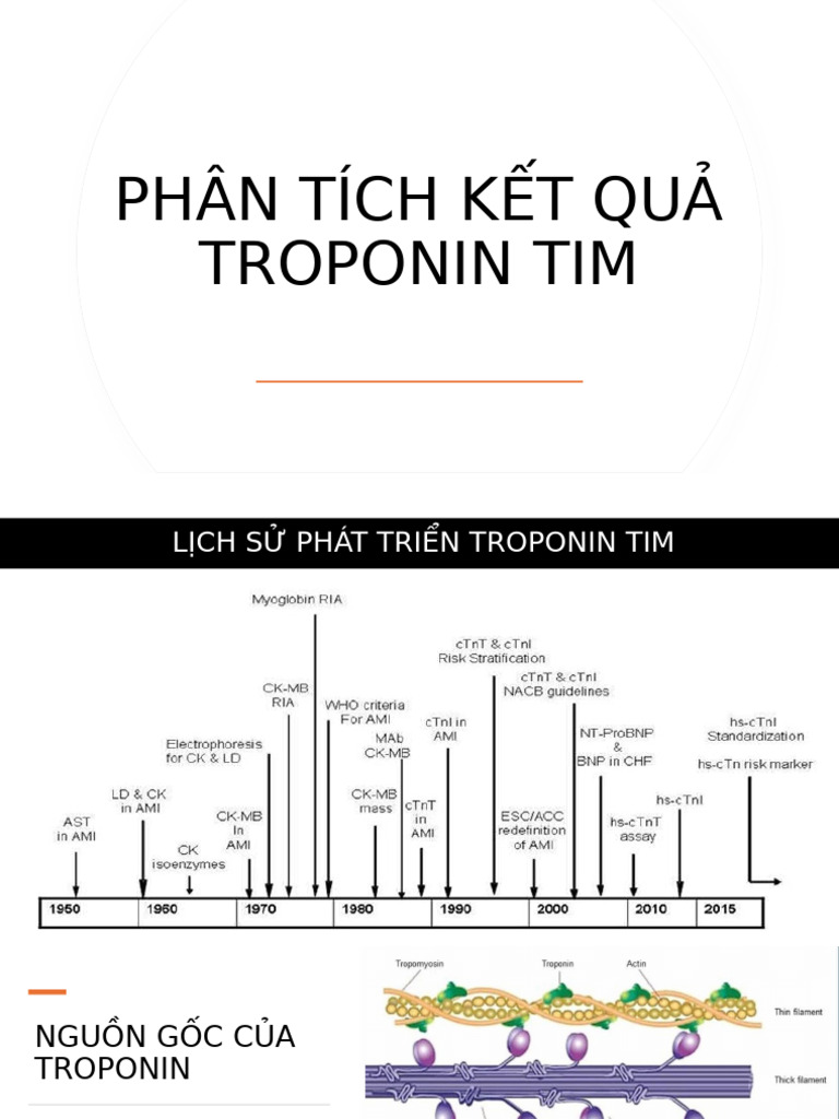 Troponin Tim | PDF