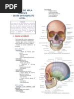 Anatomia dos Ossos do Crânio e Face | PDF | Crânio | Cabeça e pescoço ...