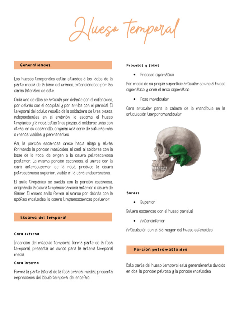 HUESO TEMPORAL | PDF