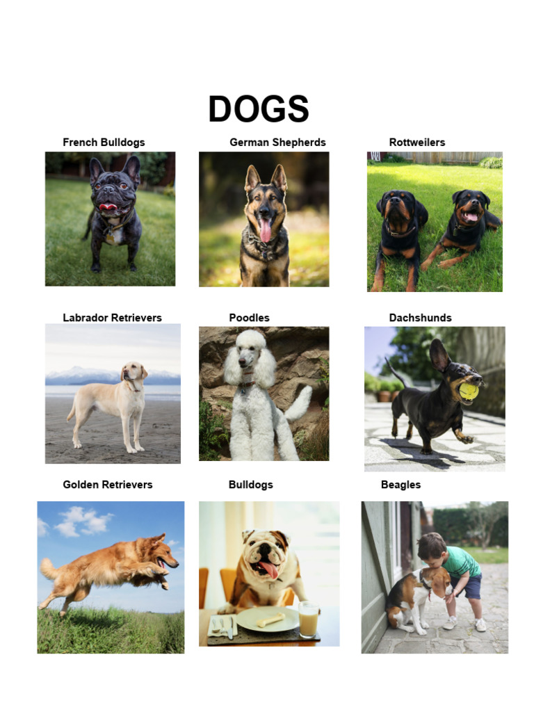 DOGS | PDF