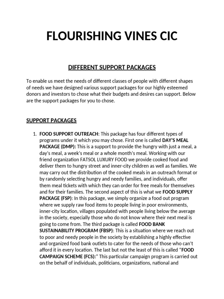 Different Support Packages | PDF | Single Parent | Adolescence