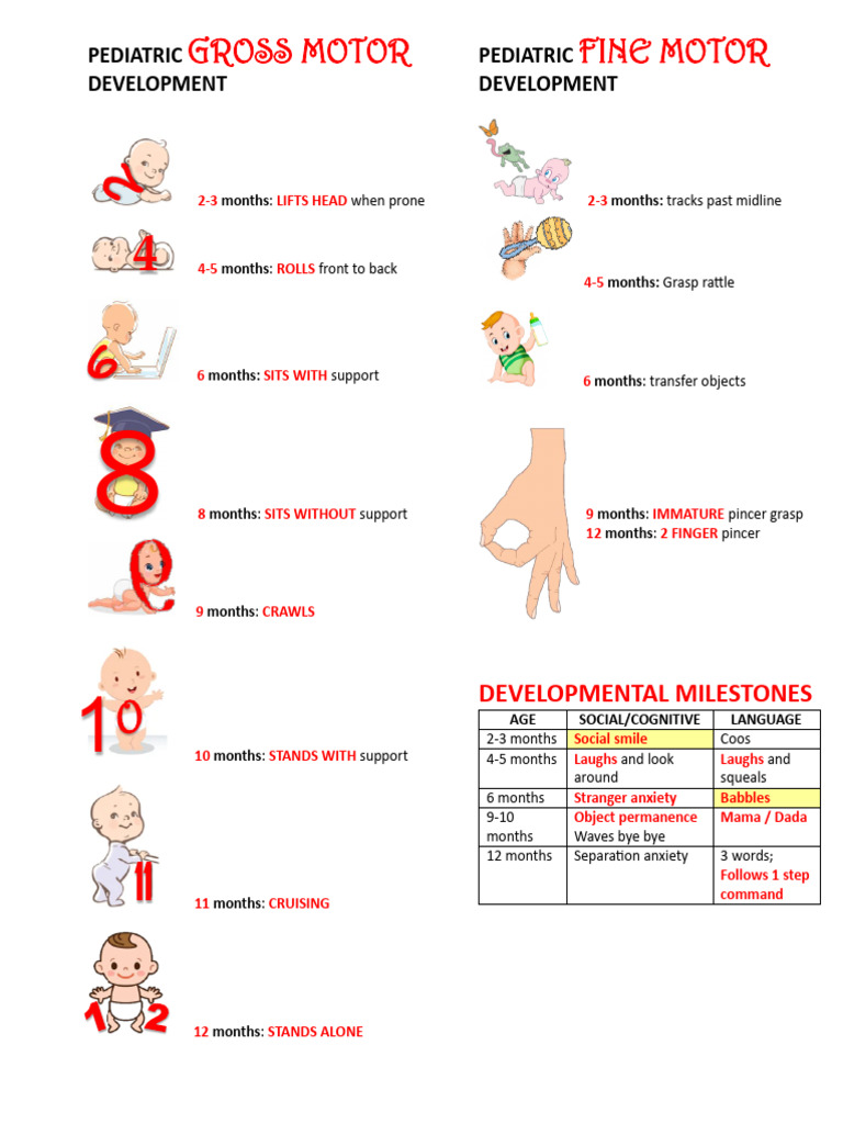 Developmental Milestones | PDF
