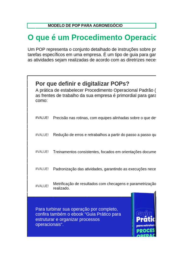 Pt Mr Modelo Checklist POP Agro | PDF