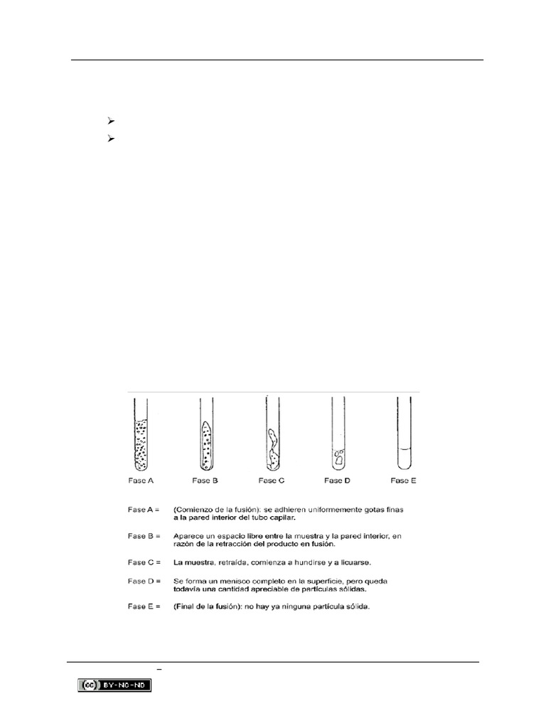 Práctica 21. Punto de Fusión | PDF