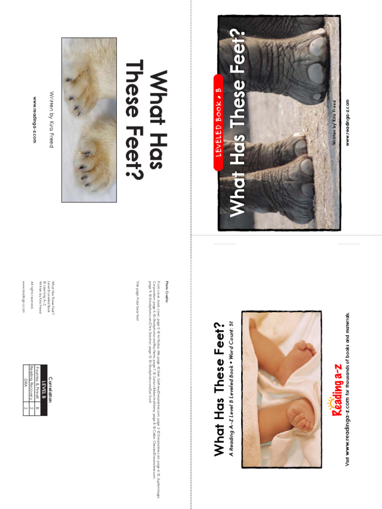 Book These Feet | PDF