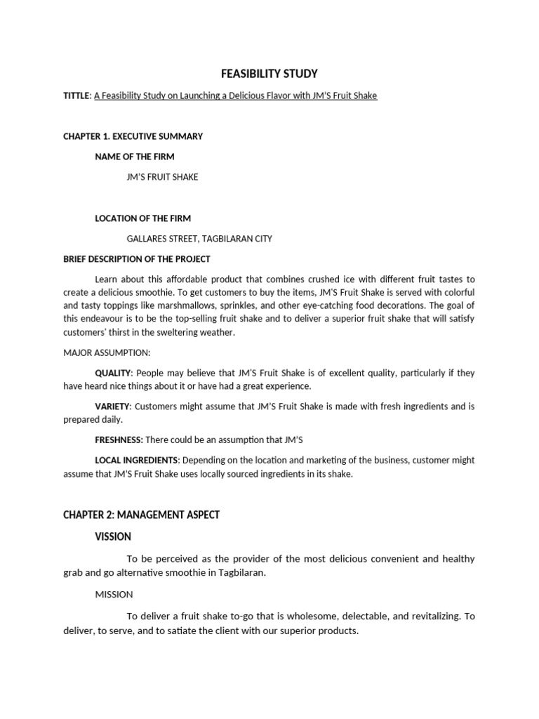 Feasibility Study | PDF