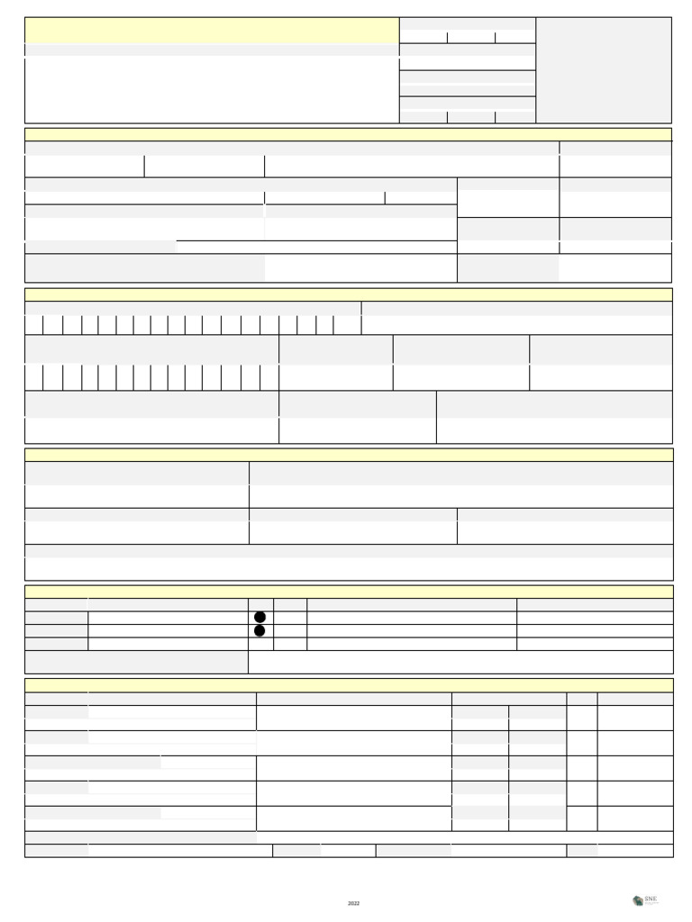 Sne Solicitud de Empleo Plantilla PDF | PDF