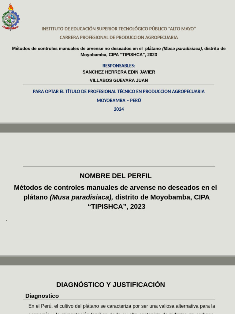 Presentacion Javier | PDF