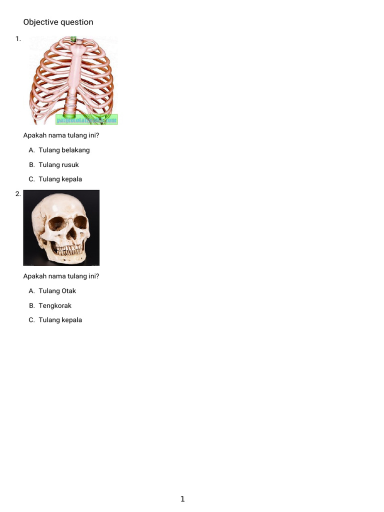 Science_Sains Darjah 5 _ BAB 2_2023 | PDF