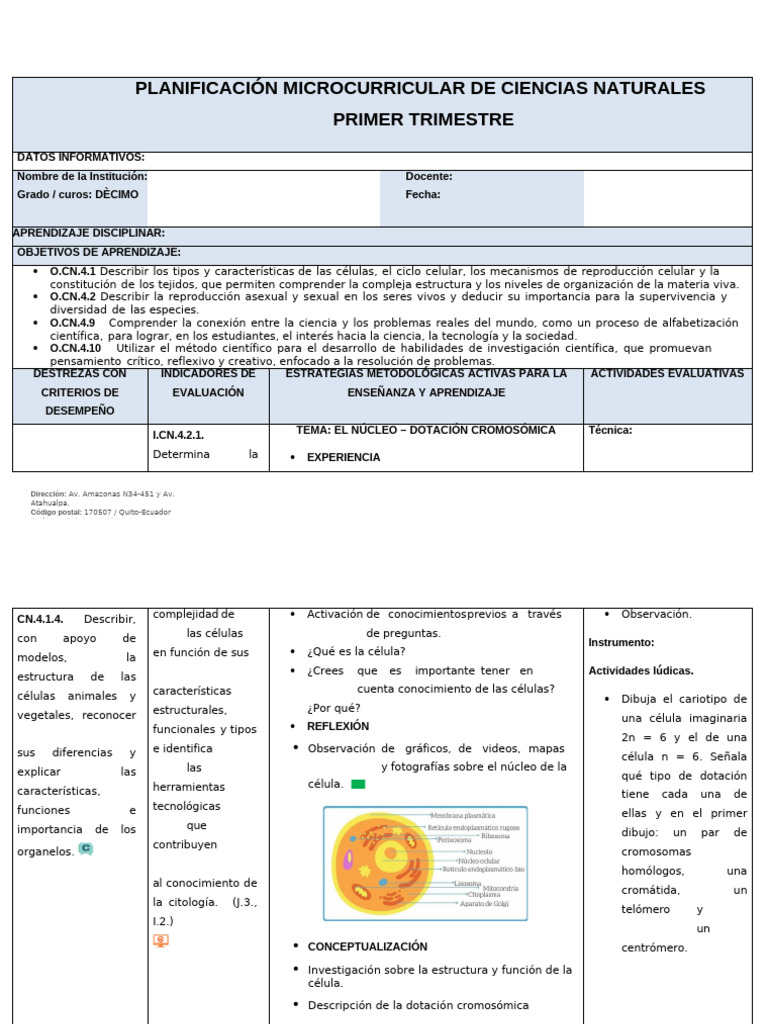10MO CCNN 1ER TRIMESTRE 2024..... F | PDF