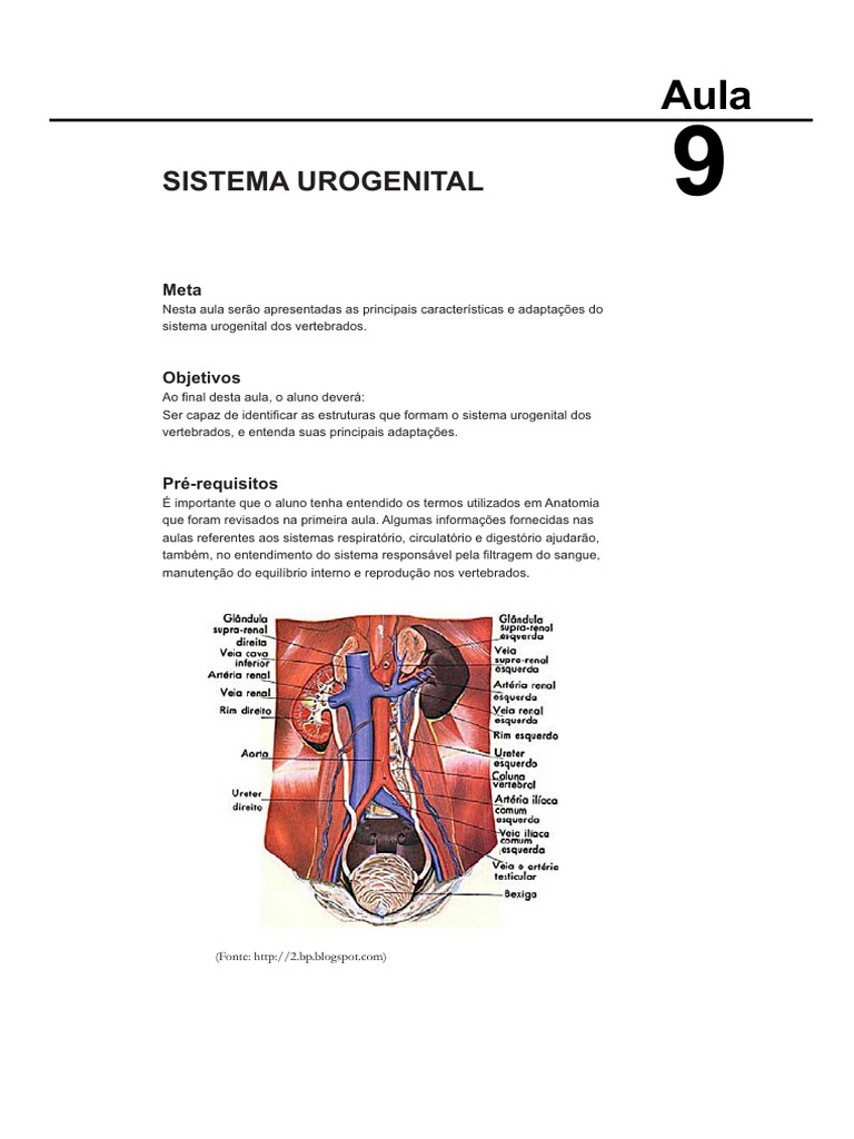 15032024022014cordados I Aula 09 | PDF