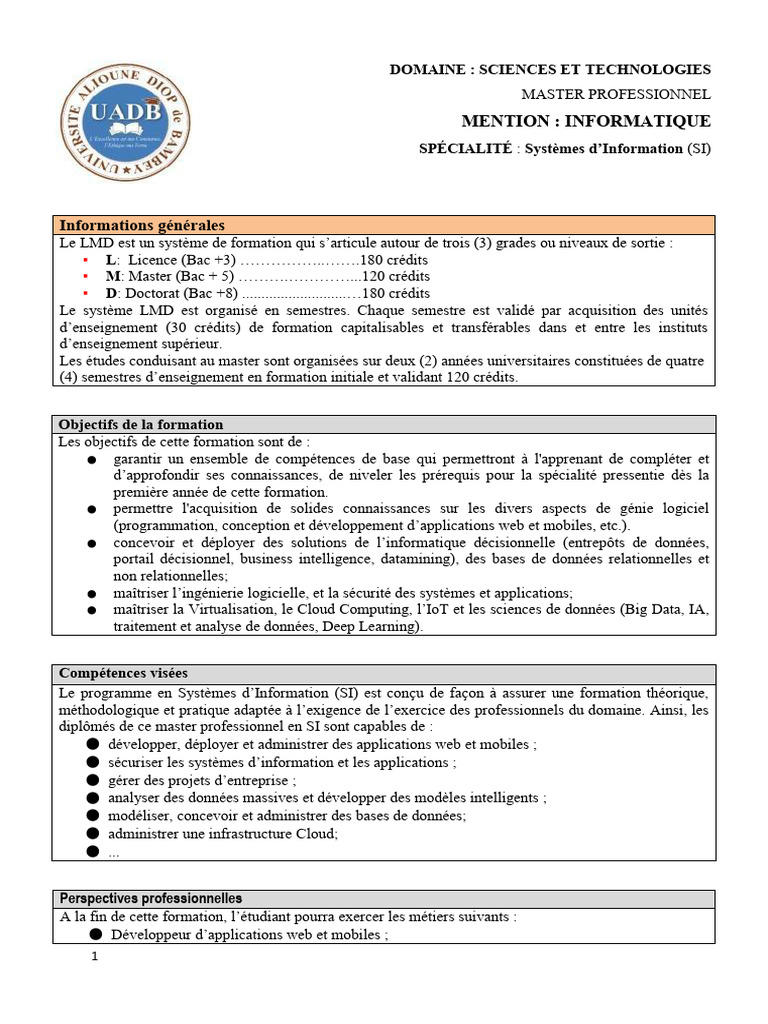 Fiche Diplome Master Si 2024 | PDF