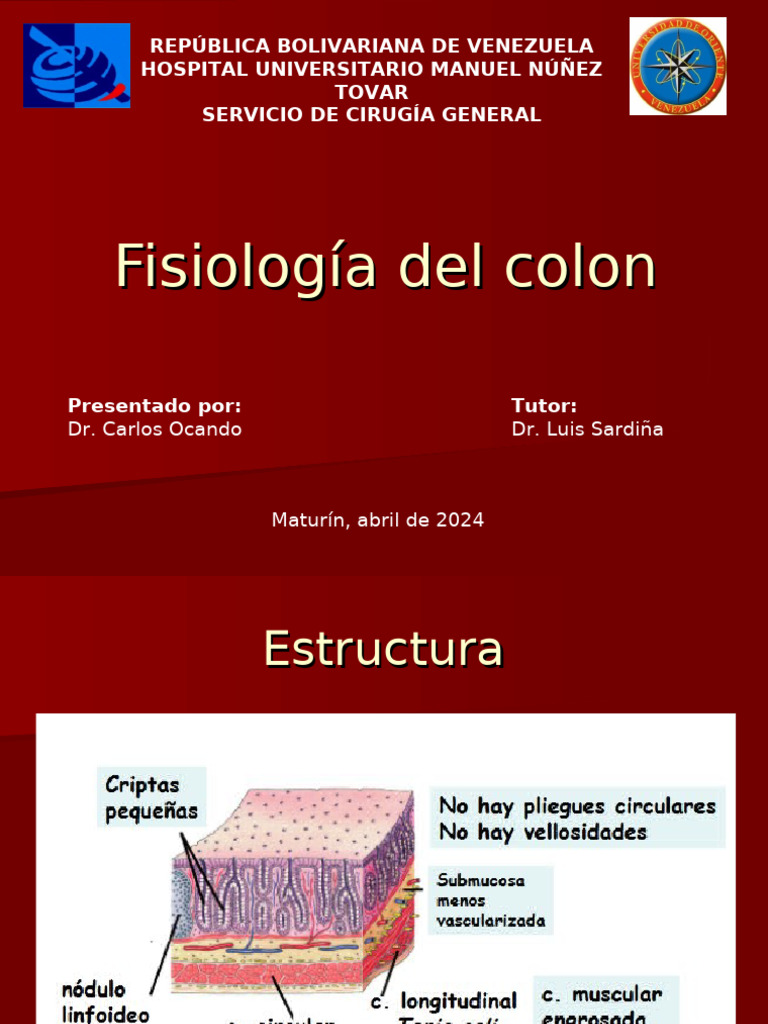 Fisiologia Colon - 113343 | PDF