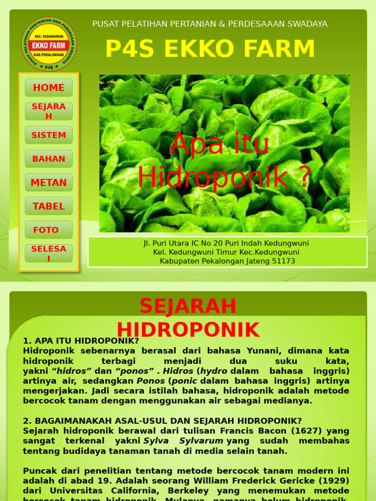 Materi Hidroponik | PDF