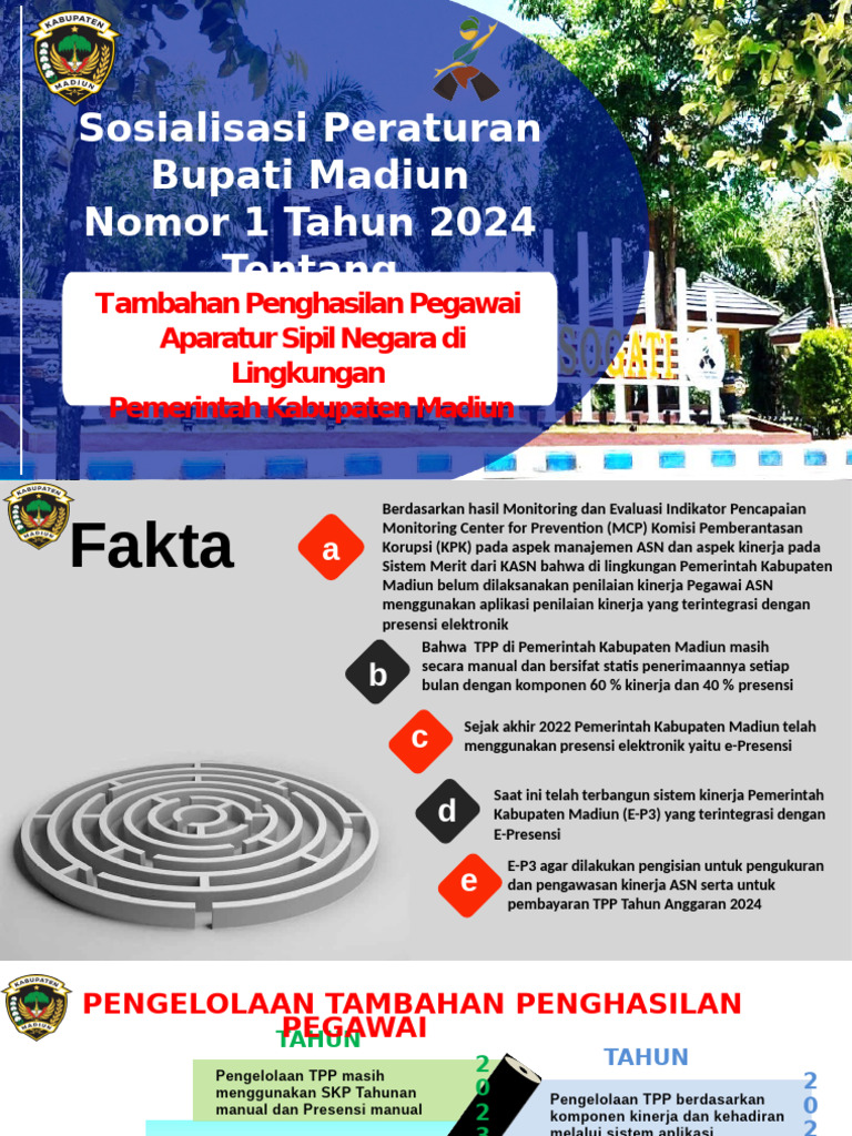 Sosialisasi Perbup TPP 2024 | PDF
