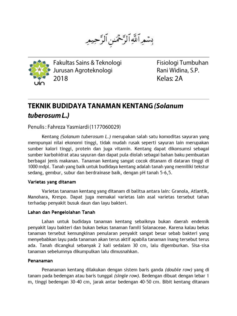 Artikel Fistum | PDF