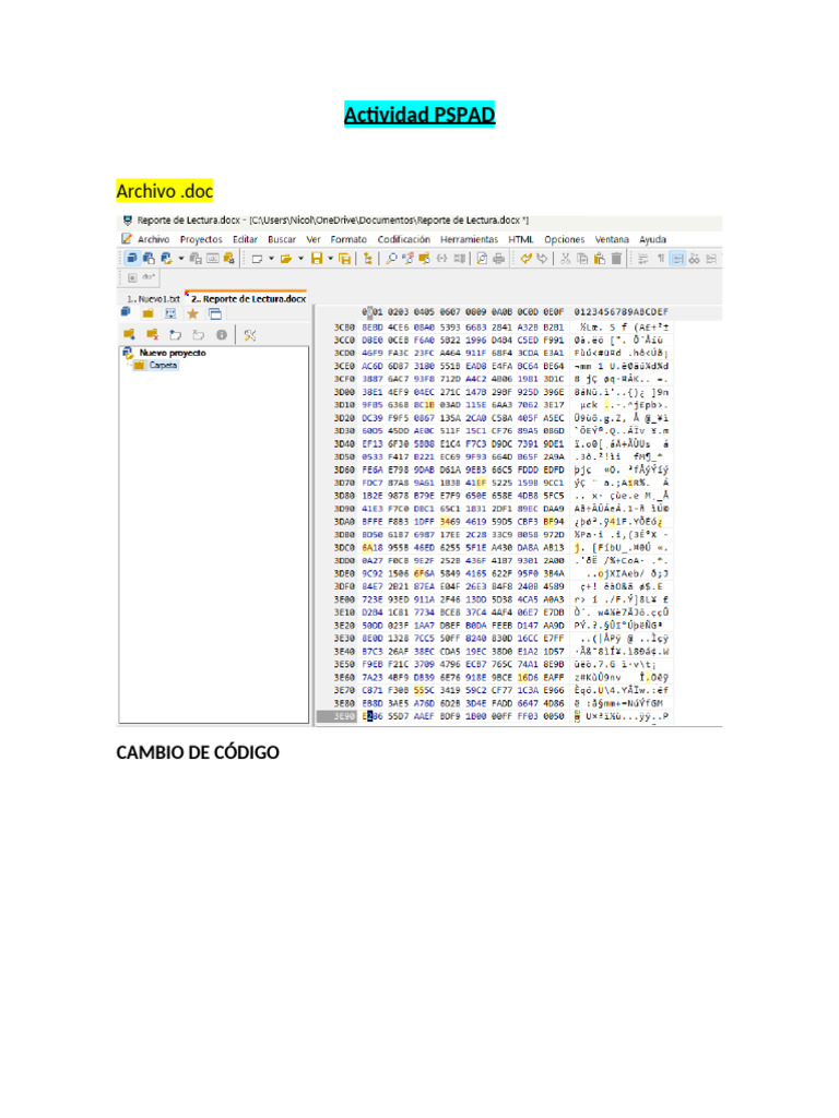 Actividad PSPAD | PDF