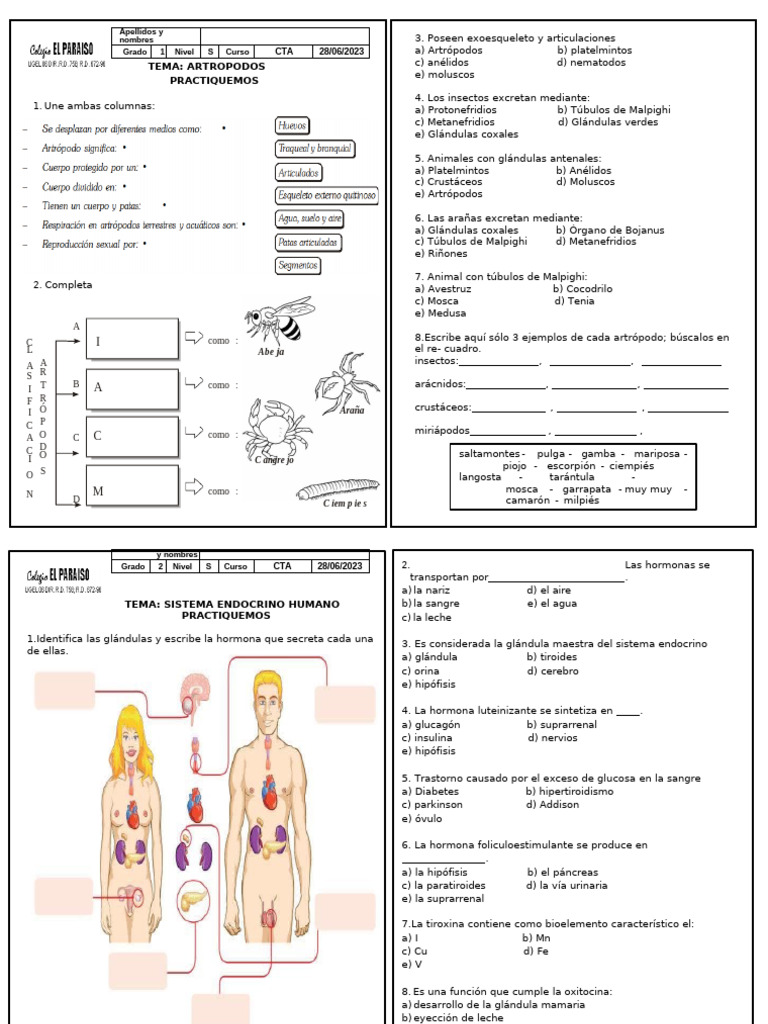 Separatas Paraiso 28 | PDF