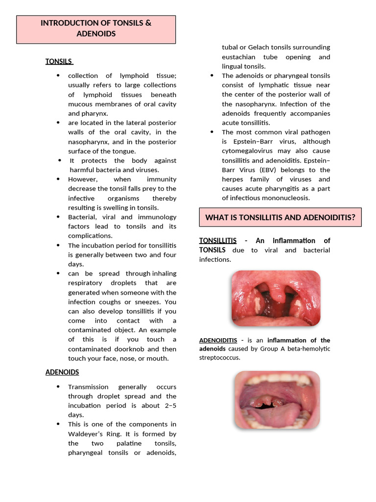 Tonsillitis Adenoiditis REPORT Acosta Calagos | PDF