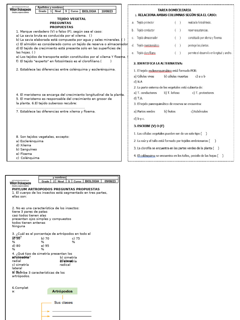 Separatas de Biologia 1 A 4to Sec. | PDF