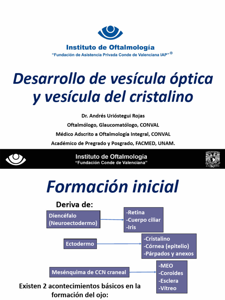 Desarrollo Vesícula Óptica y Cristalino, 2024 | PDF