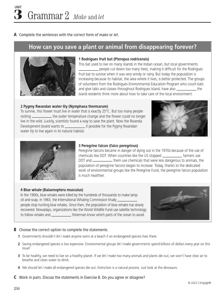 Voices Intermediate StudentWorksheets Grammar 2 Unit 03 | PDF
