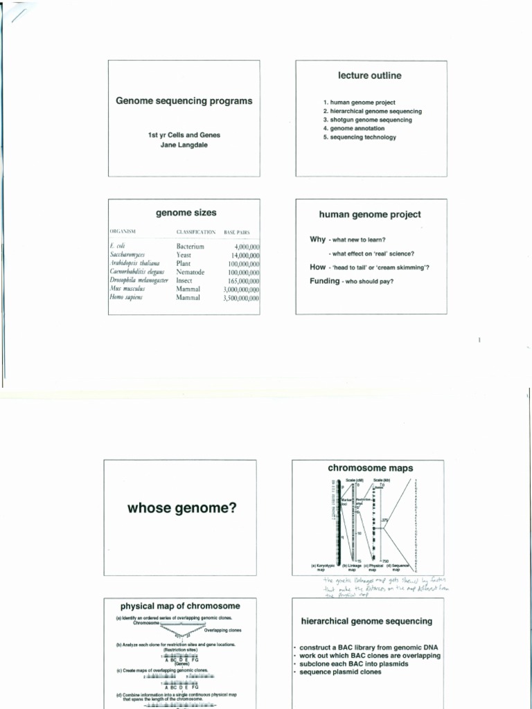 Lecture Outline Genome Sequencing Programs: 1st Yr Cells and Genes Jane ...