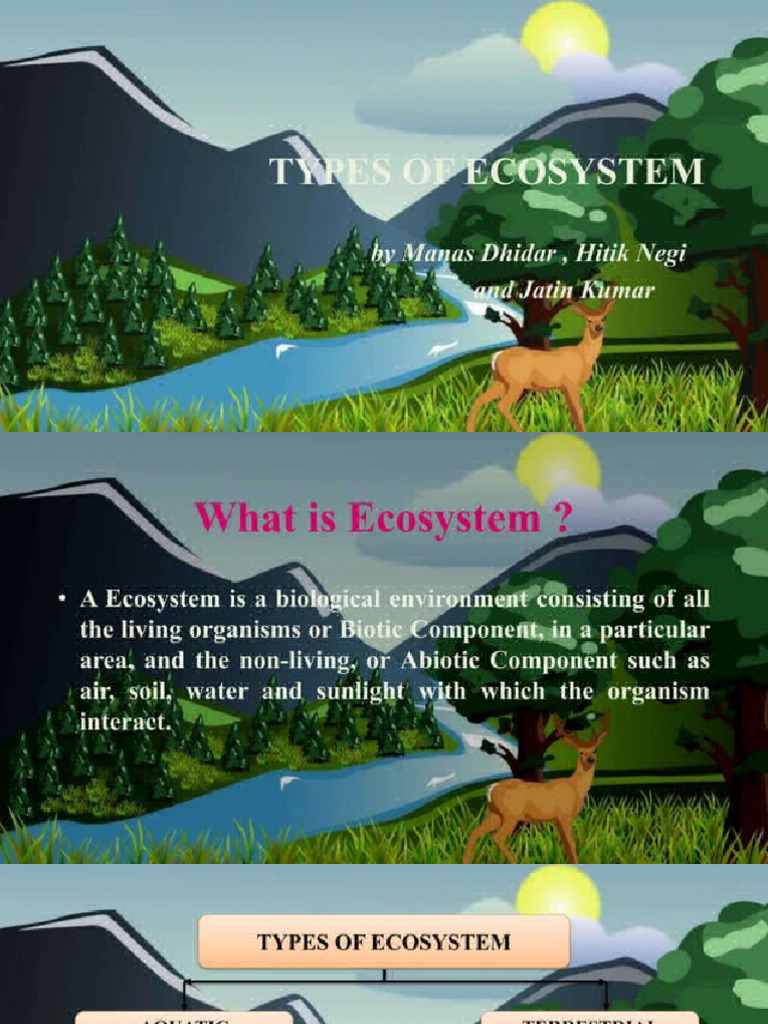 Different Ecosystem | PDF